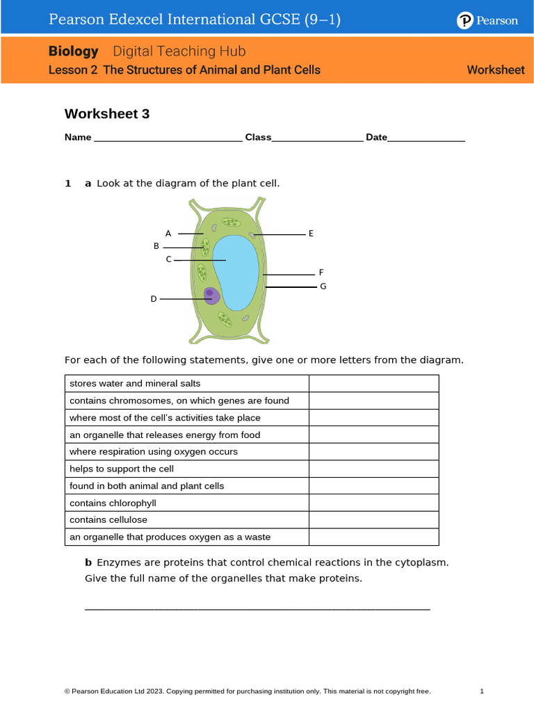 IG Biology Lesson2 Worksheet 03 | PDF