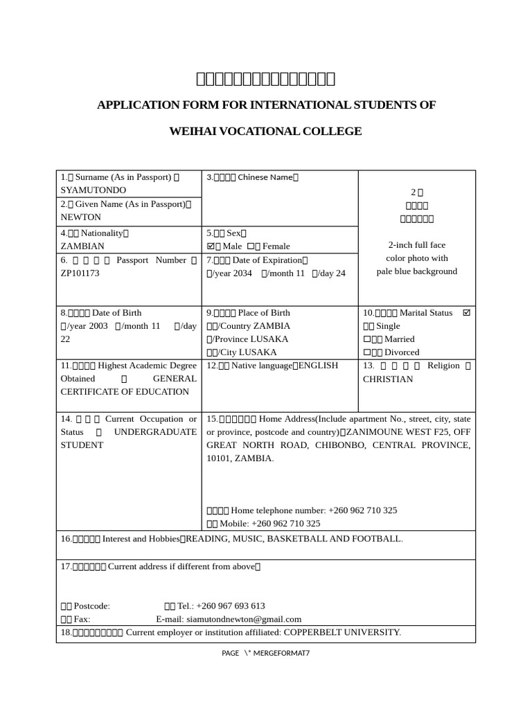 International Student Application 2025 | PDF | Identity Document ...