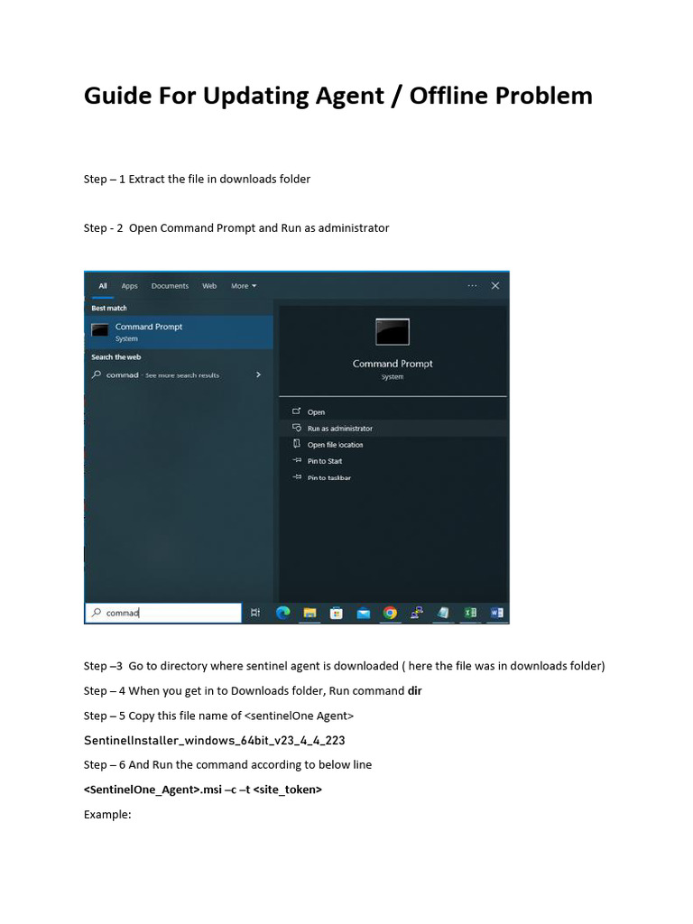 Sentinel Agent Update Guide | PDF