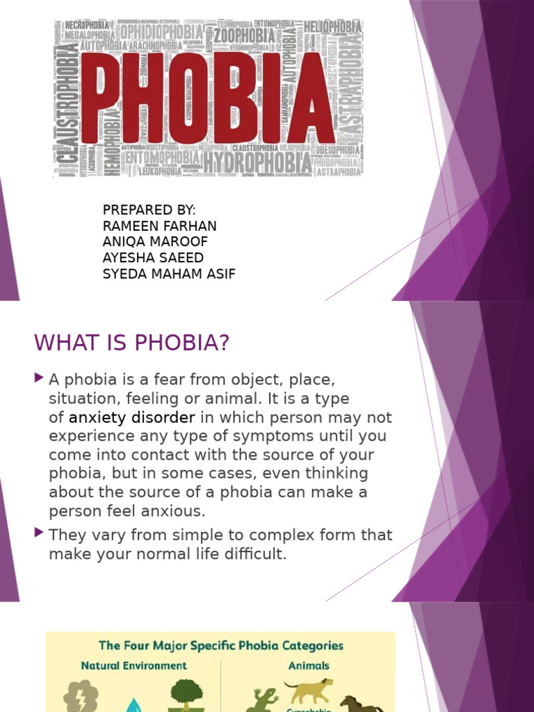 Functional Presentation | PDF