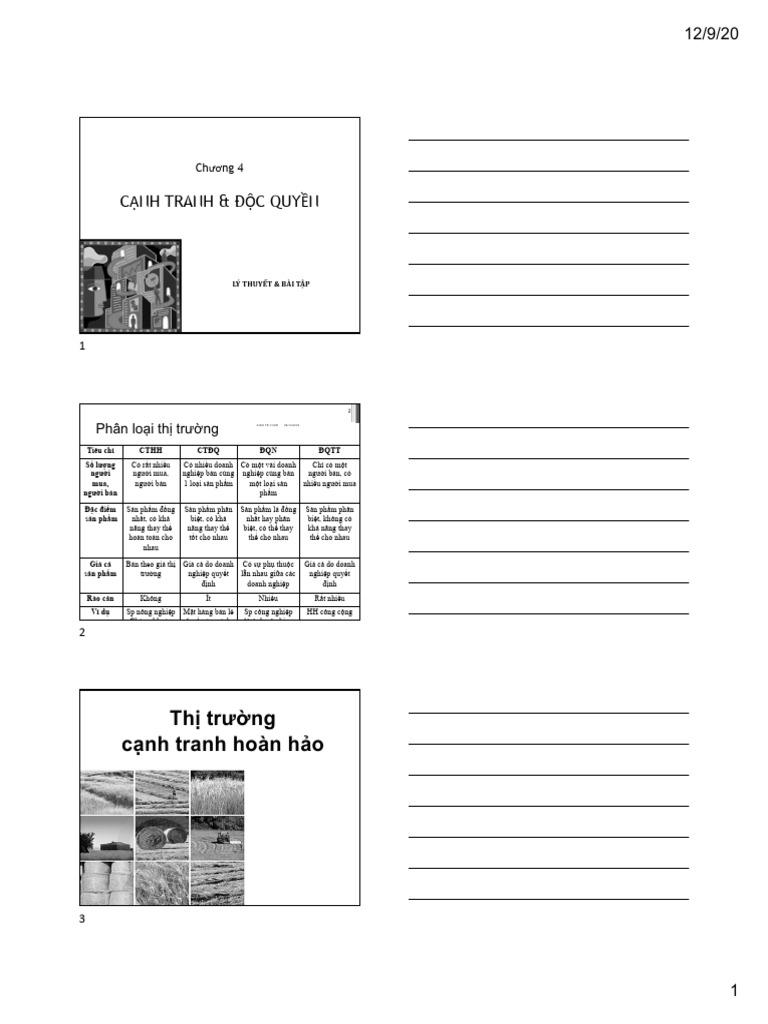 Micro_Chapter4 | PDF