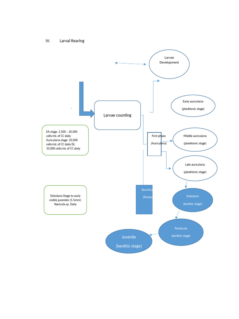 Larval Rearing Pdf