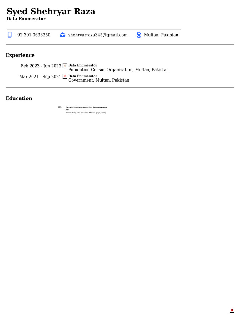 Syed CV 7000019217038 Professional | PDF