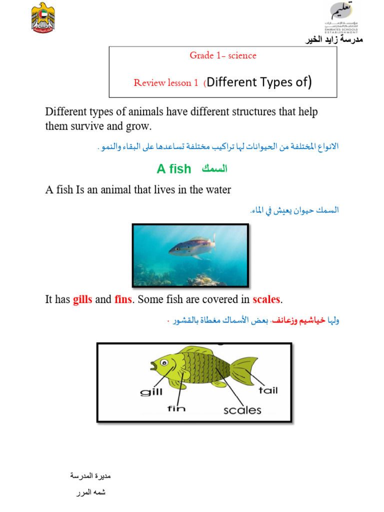 Types of Animals for Grade 1 Science | PDF