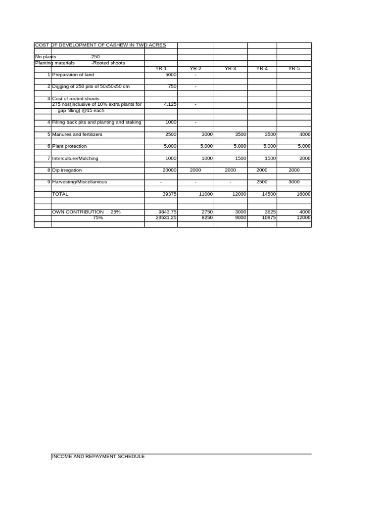 Mango, Cash Nut, Coconut Project | PDF | Interest | Liability (Financial Accounting)