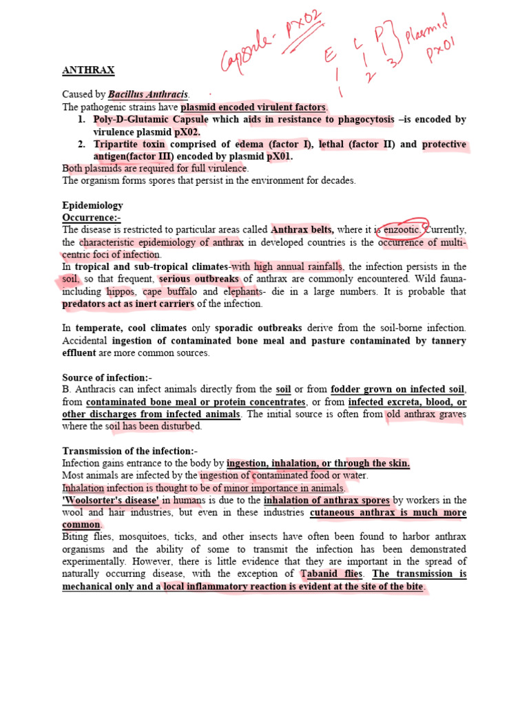 Anthrax and HS-1 2 | PDF | Anthrax | Infection