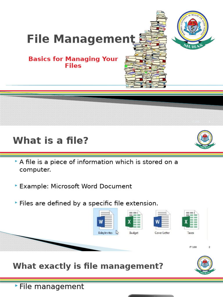 Introduction to File Management 2024 | PDF | Computer File | Byte