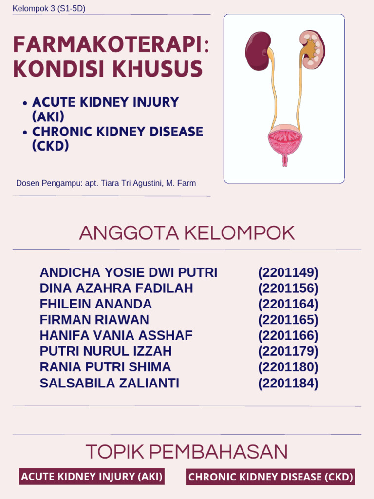 p2 PPT Teori Aki & CKD Kel 1 5d PDF | PDF