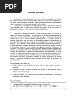 La Quitina Características y Funciones | PDF