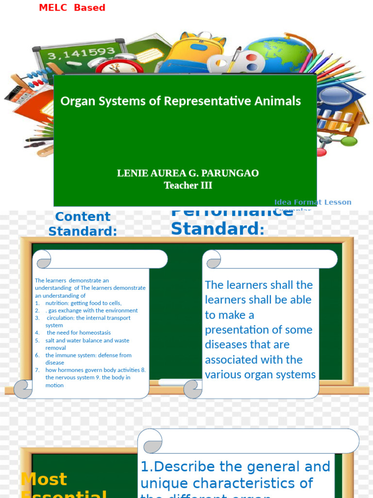 Animal Organ System | PDF | Nervous System | Central Nervous System