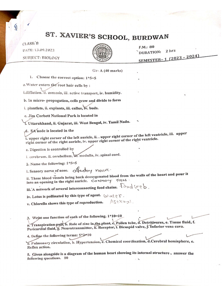 Biology class 8 | PDF