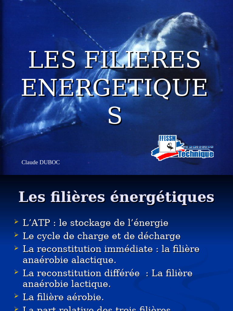 Filières Énergétiques : ATP et Types | PDF | Acide lactique | Adénosine ...