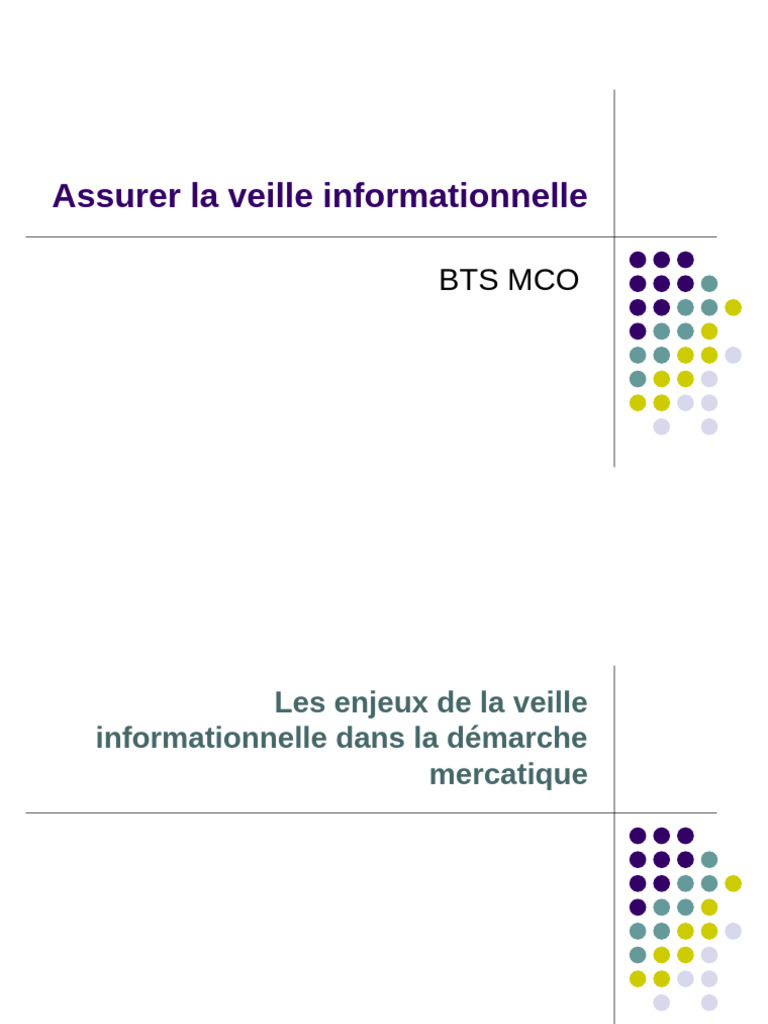 Bts Mco Assurer La Veille Informationnelle Version 2 | PDF | Commercialisation | Économie