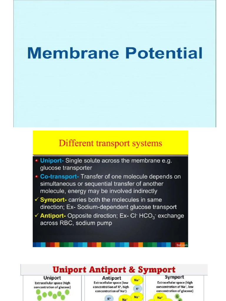 Membrane Potential | PDF
