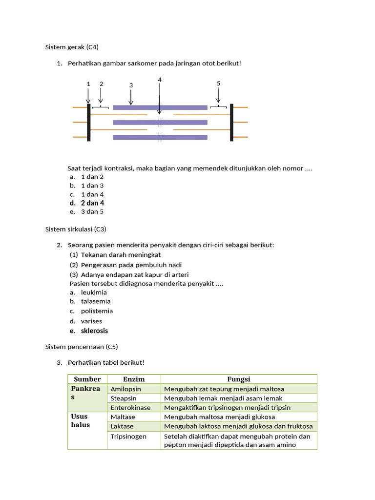 Perbaikan Soal Tahap 2 | PDF