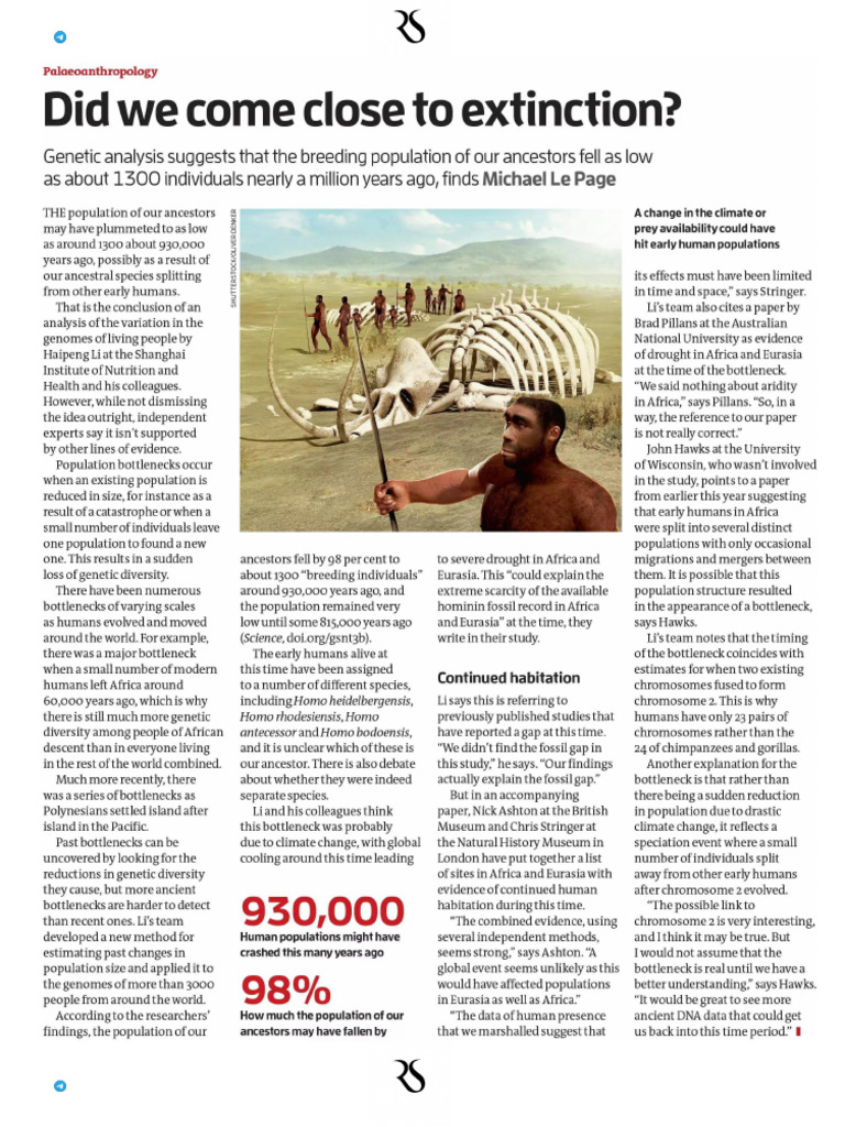 Did We Come Close To Extinction | PDF | Homo | Human