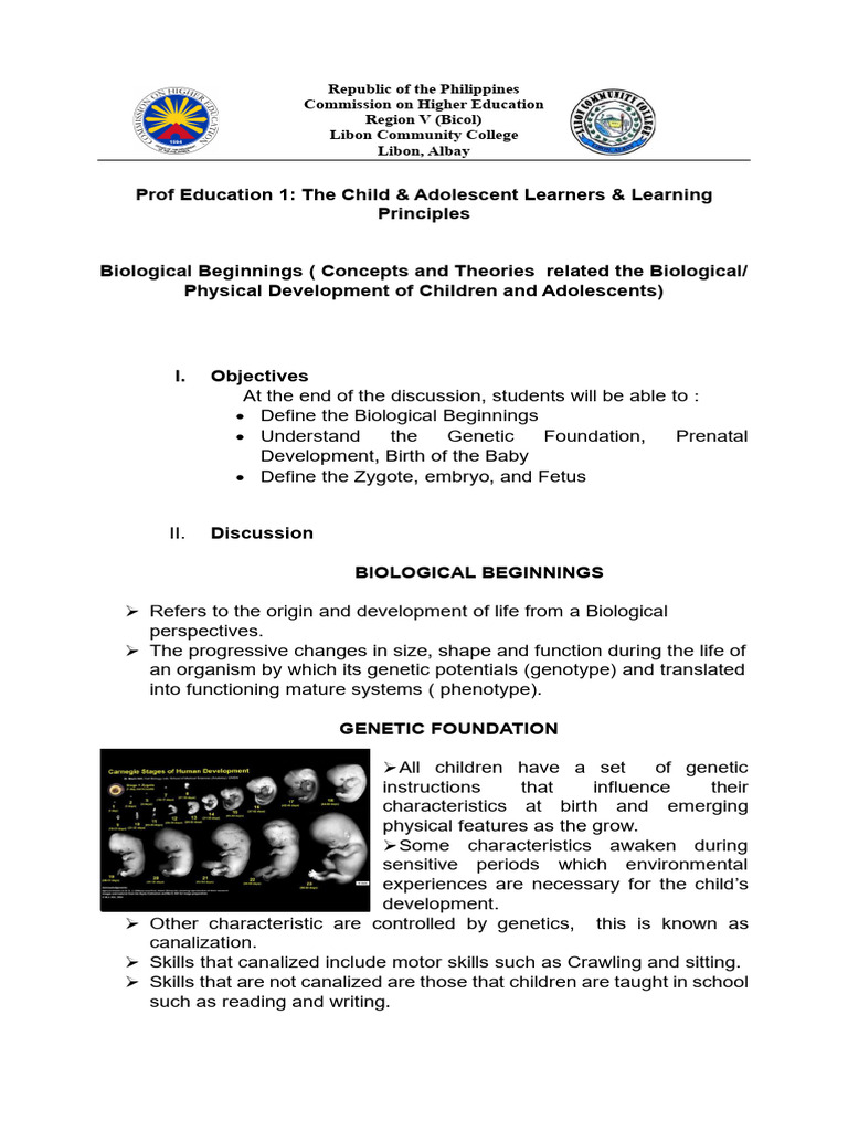 Prof Educ Reporting 2 Group 1 | PDF | Prenatal Development | Human Development