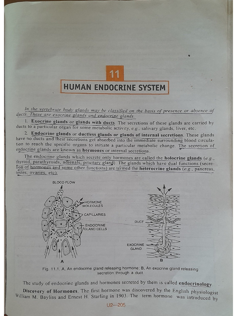 Hormones and Messenger .PDF | PDF