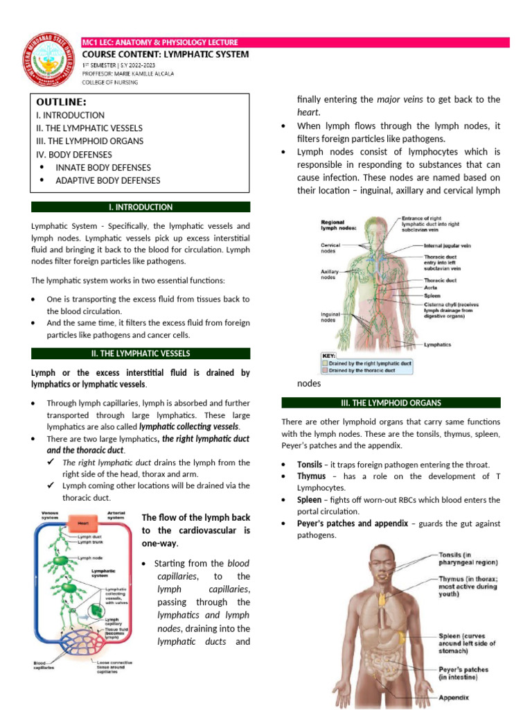 Lymphatic, Digestive, Urinary System Transes | PDF | Lymphatic System ...