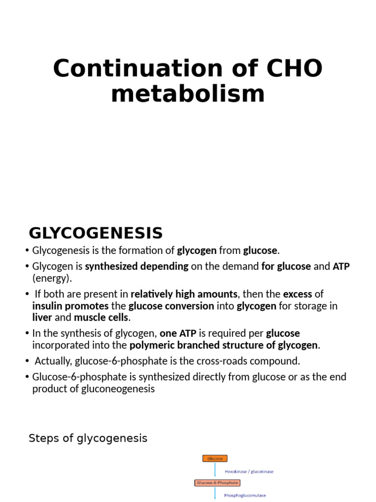 Continuation of CHO Metabolism | PDF | Glycogen | Pyruvic Acid