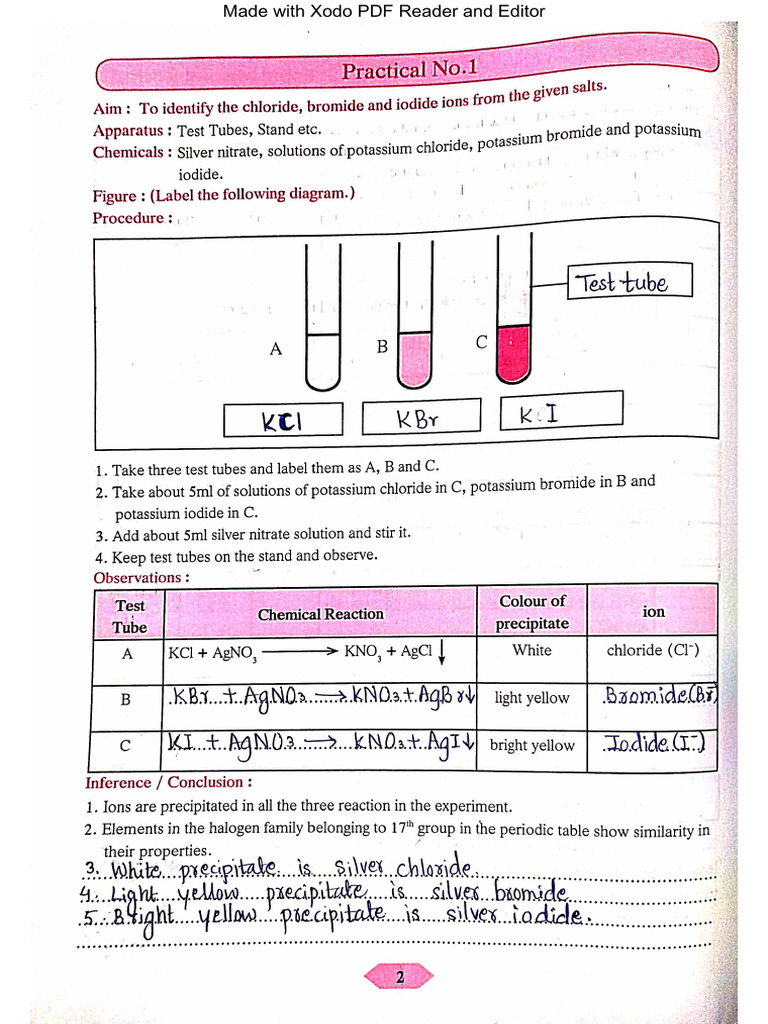 Science 1 Practical | PDF