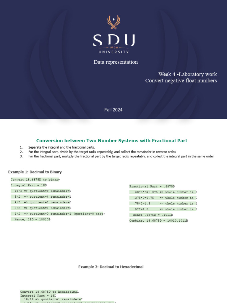 Data Representation | PDF | Numbers | Integer (Computer Science)