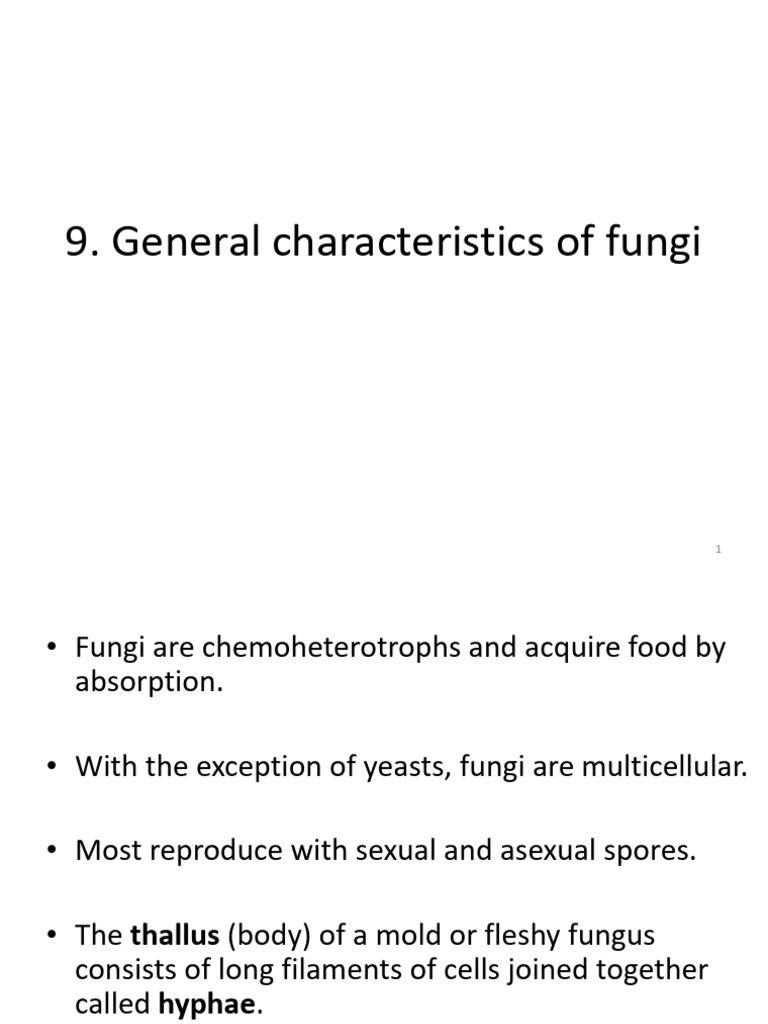 General Characteristics of Fungi | PDF | Fungus | Yeast