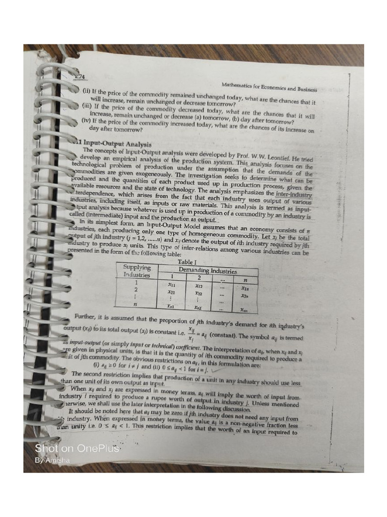 Input Output Model | PDF