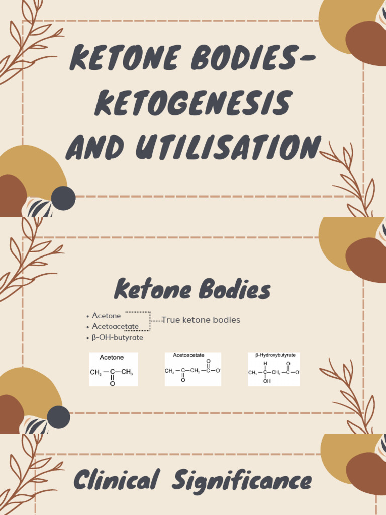 Ketone Bodies - Ketogenesis and Utilisation | PDF