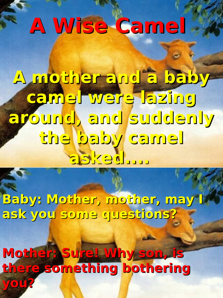 A Wise Camel | PDF