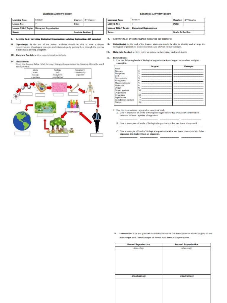 Las 2nd Quarter Week 567 | PDF