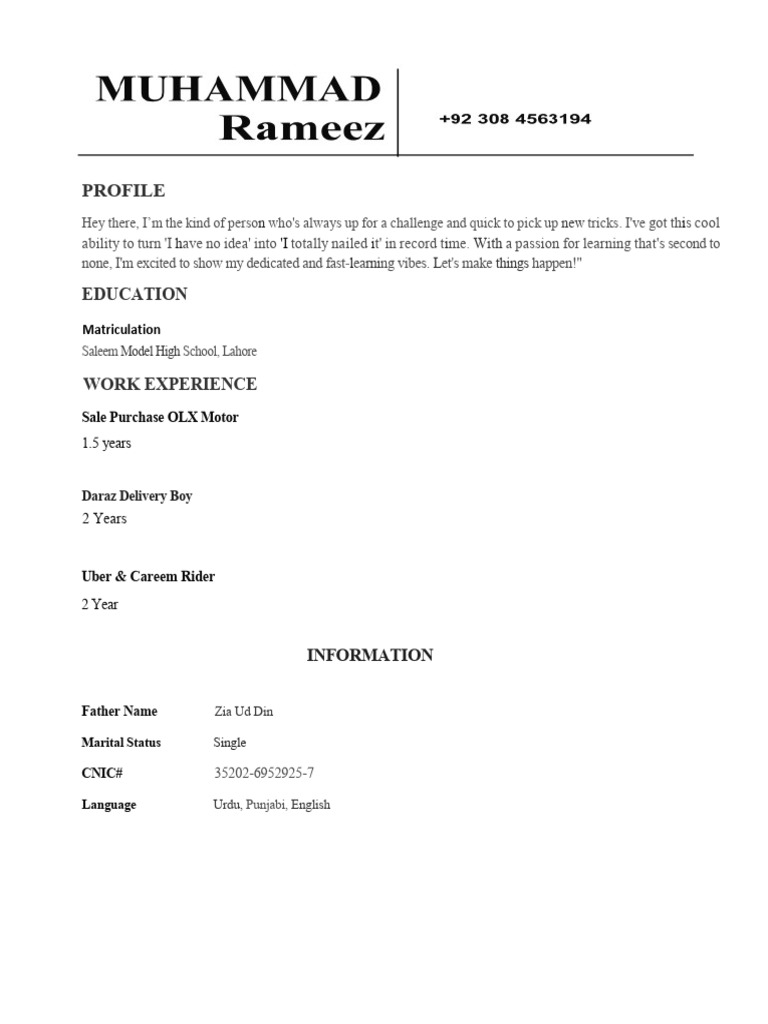 Rameez CV1 | PDF