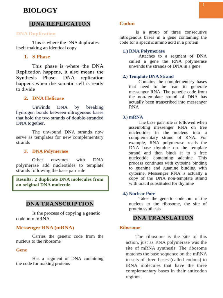 Biology - Dna and Genetics | PDF | Dominance (Genetics) | Dna