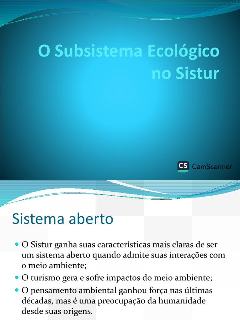 Aula 10 Subsistema Ecologico | PDF | Sustentabilidade | Turismo