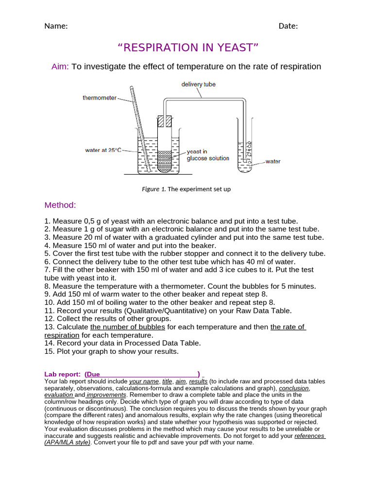 Respiration in Yeast Lab Sheet | PDF | Quantitative Research | Data