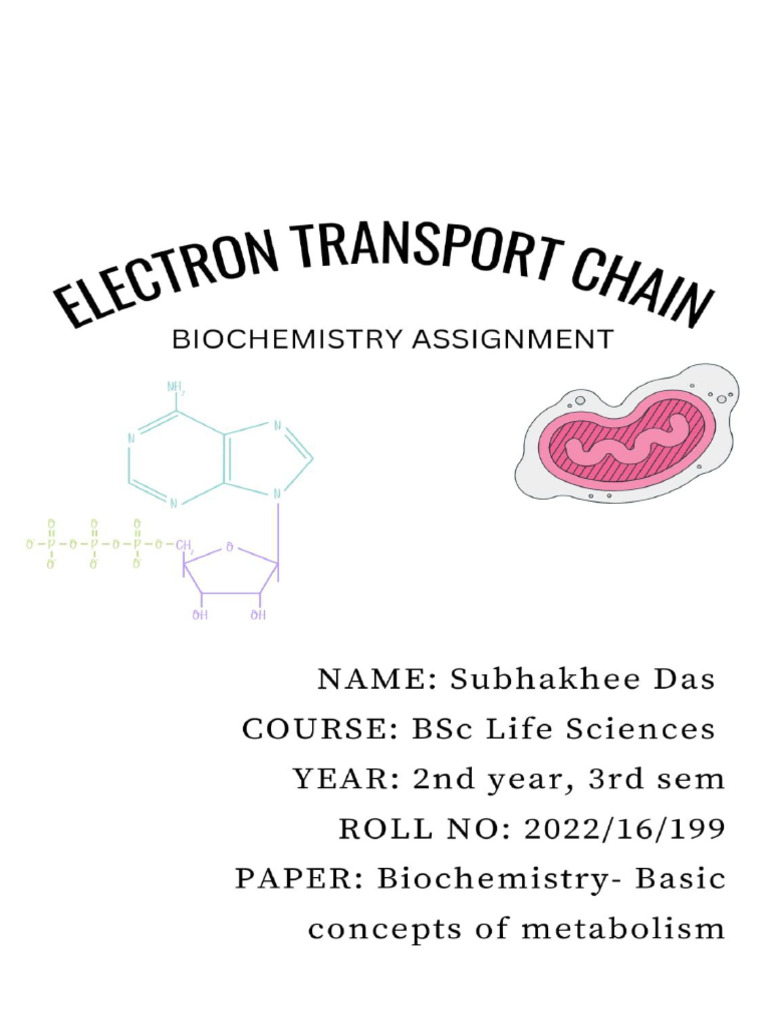 Electron Transport Chain | PDF | Electron Transport Chain | Cellular ...