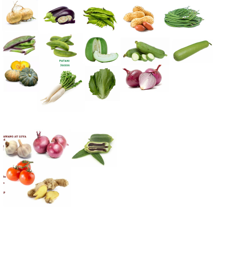 Veg | PDF