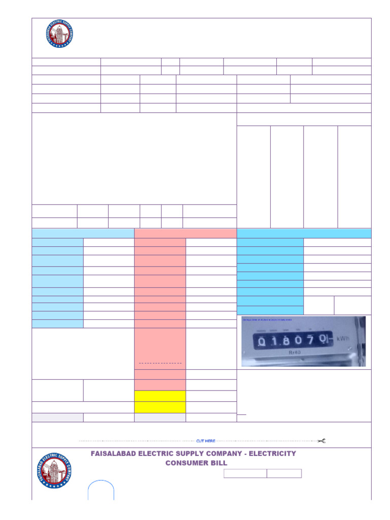 FESCO Electricity Bill for October 2024 | PDF | Taxes | Value Added Tax