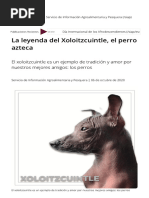 Leyenda Del Xoloxcuintle | PDF