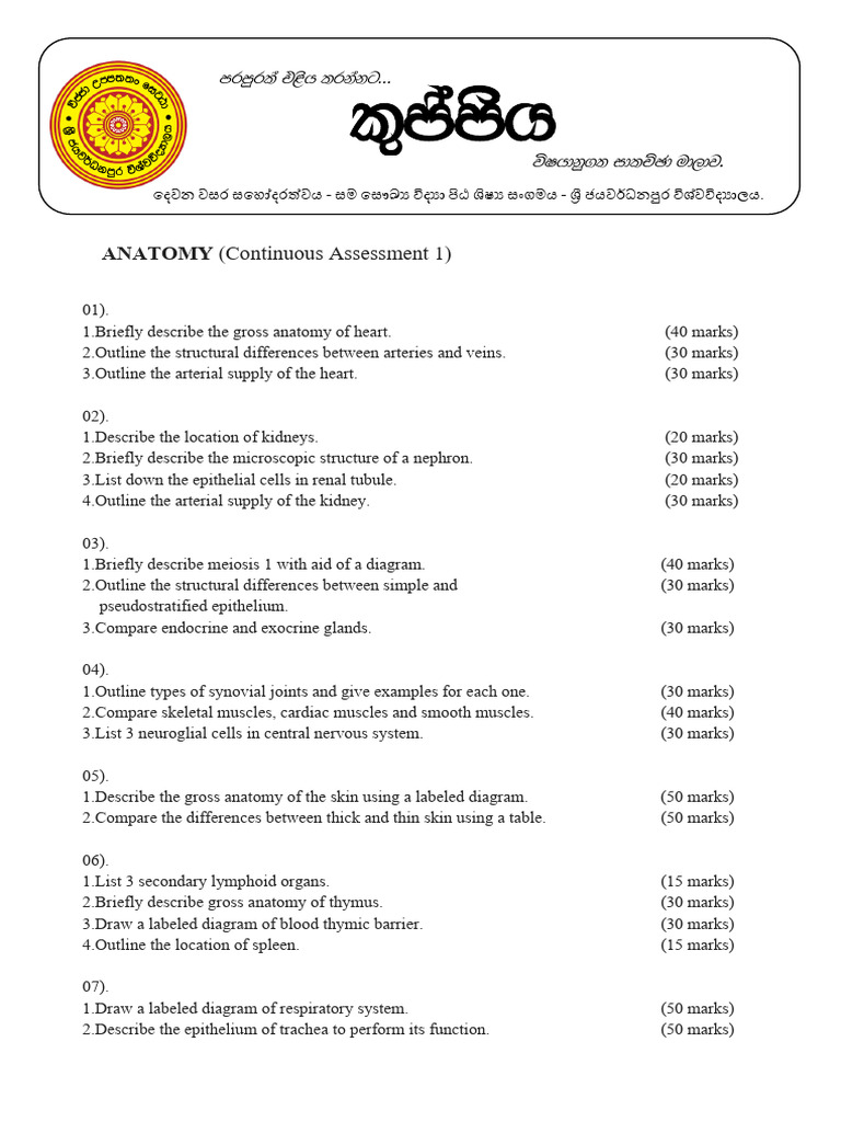 Q Anatomy | PDF