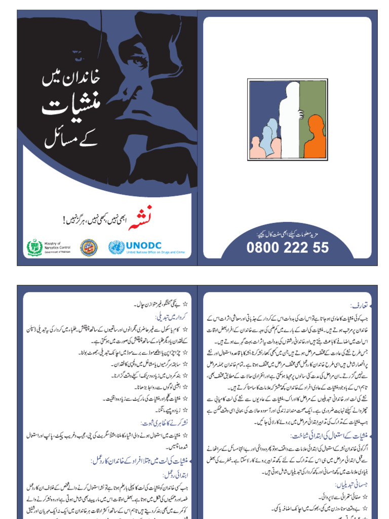 Drug Problem With Families Final | PDF