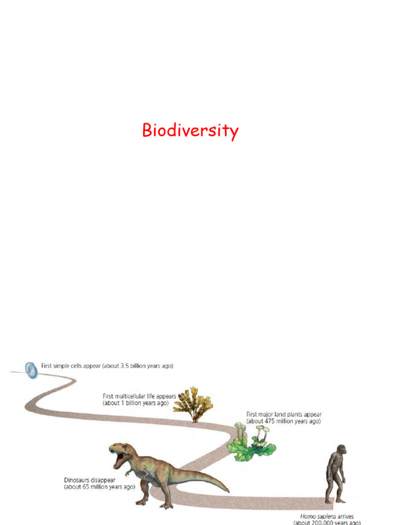 Bio Diversity (Types & Importance) | PDF | Biodiversity | Ecosystem