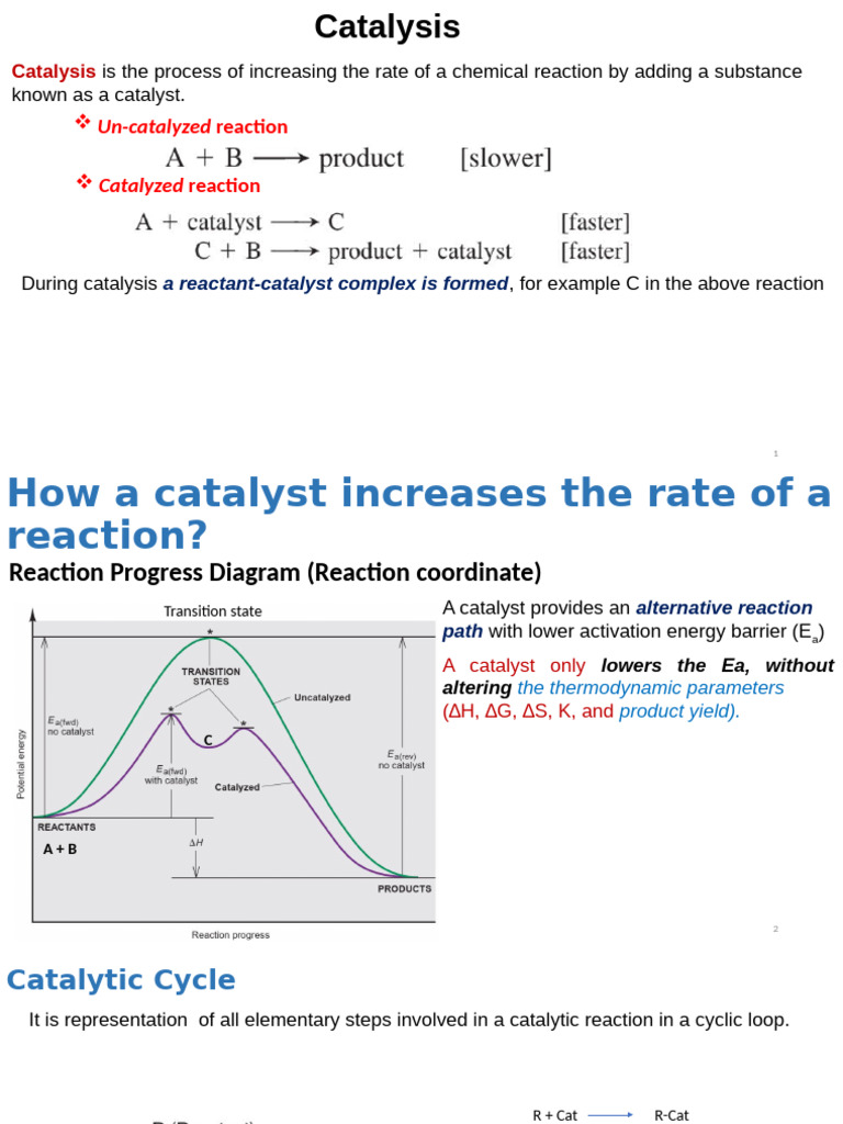 CATALYSIS | PDF | Catalysis | Enzyme