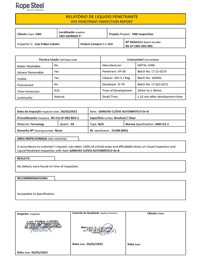 DPI Report - RS-LP-CBO-GIO-001 - Gancho CLÉVIS AUTM-21208-#01 - 095117 ...