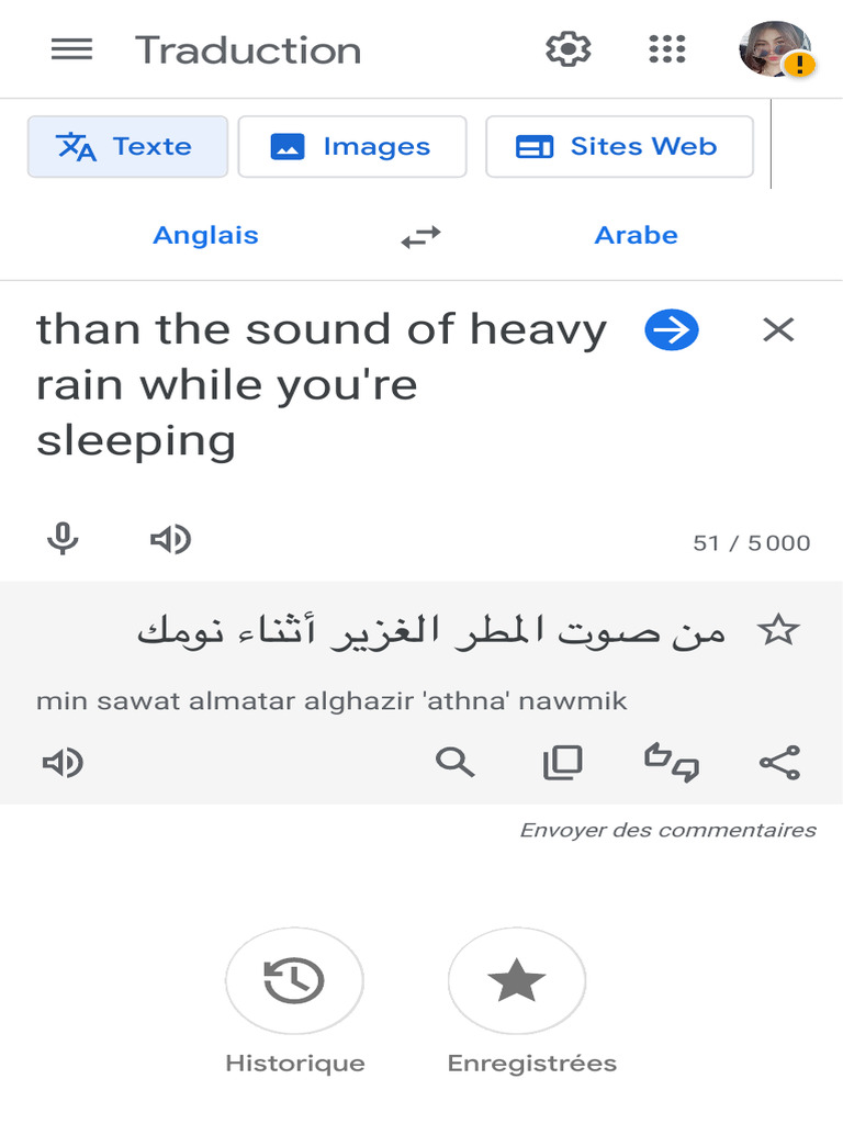 Google Traduction | PDF