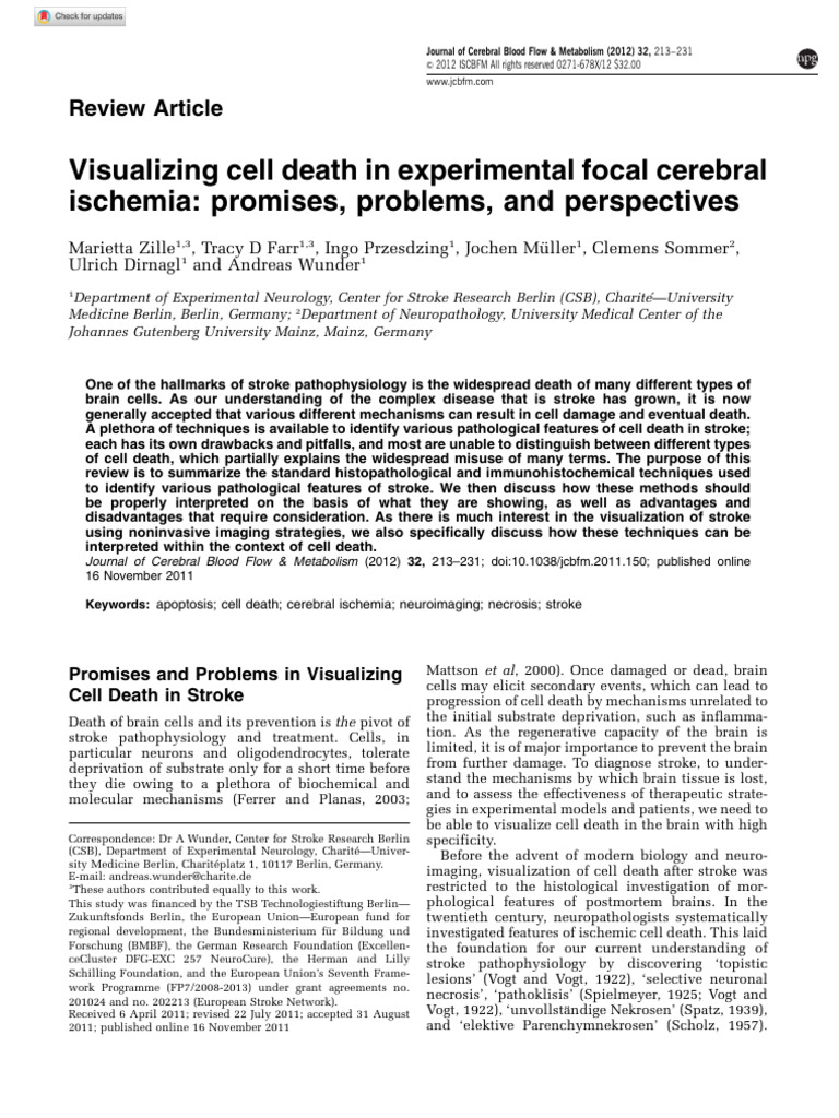 Cockroach With A Machine Gun | PDF | Necrosis | Apoptosis