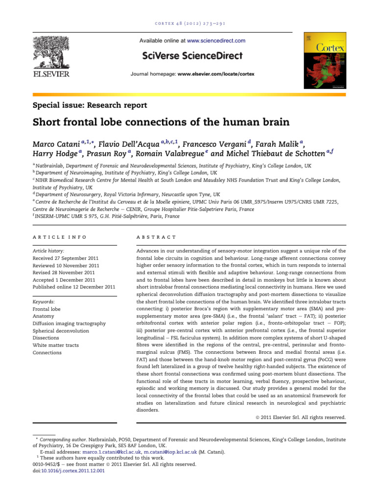 Short Frontal Lobe Connections of the Human Brain 2012 Cortex | PDF ...