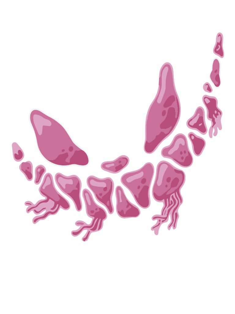 Madkat x Bob Esponja Logo Recread | PDF