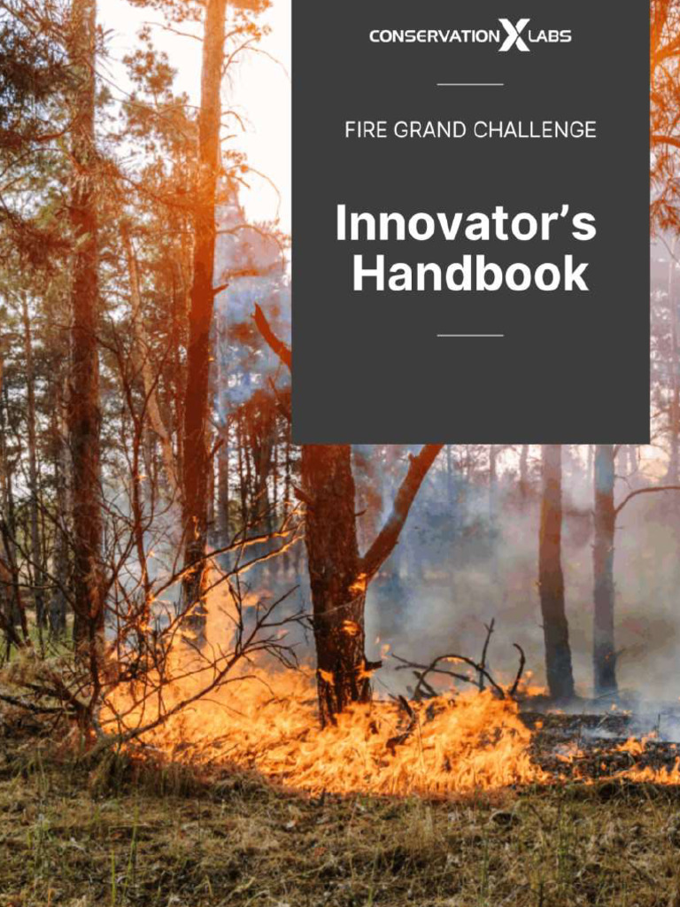Fire Grand Challenge - Innovators Handbook - August 2024 | PDF | Fires ...