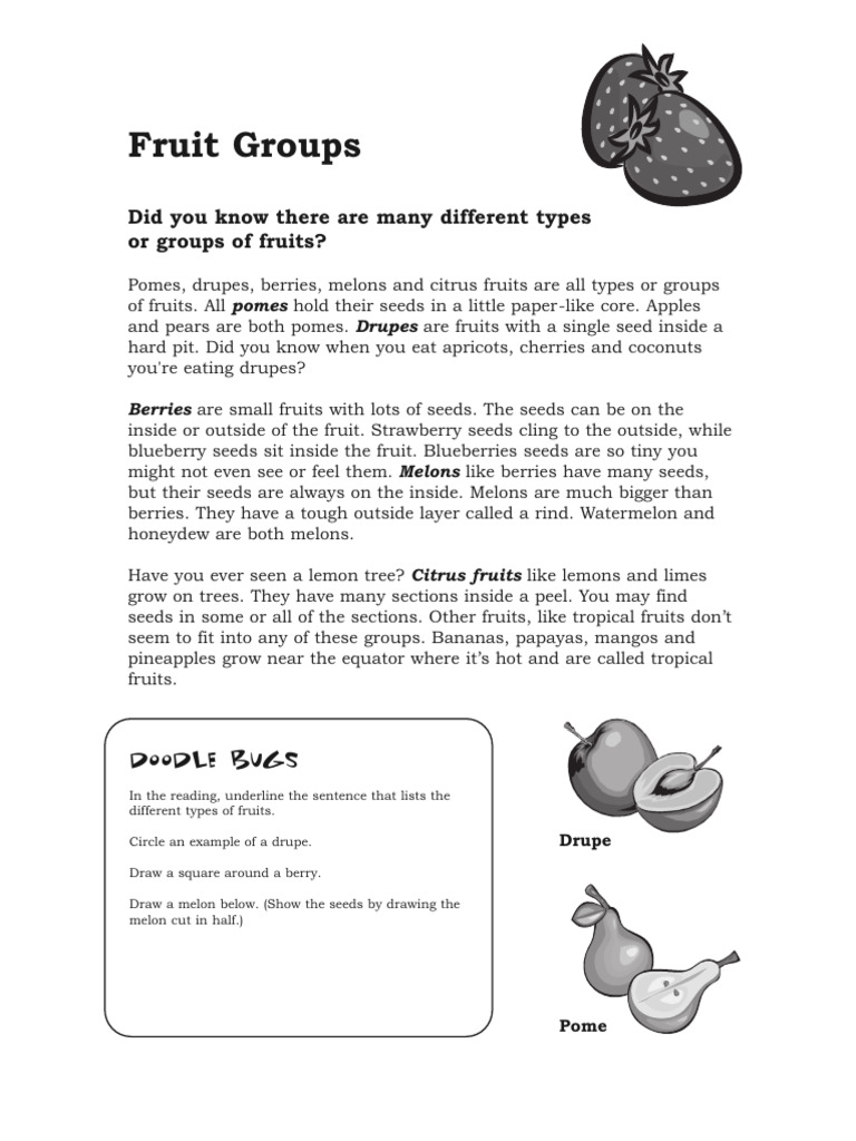 Student Handouts 2 | PDF | Fruit | Berry